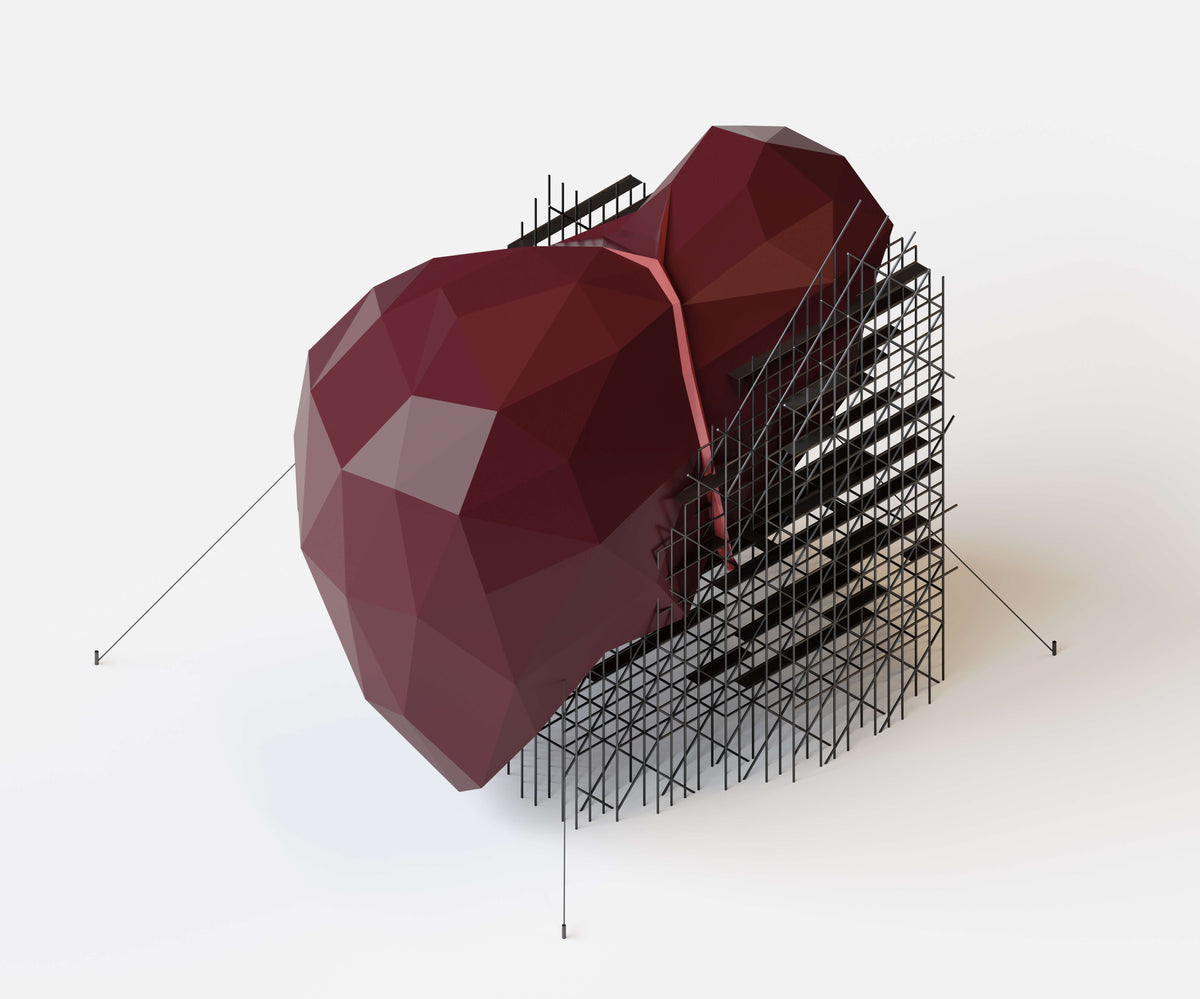 SOPORTE DETOX – FUNCIONALDOC